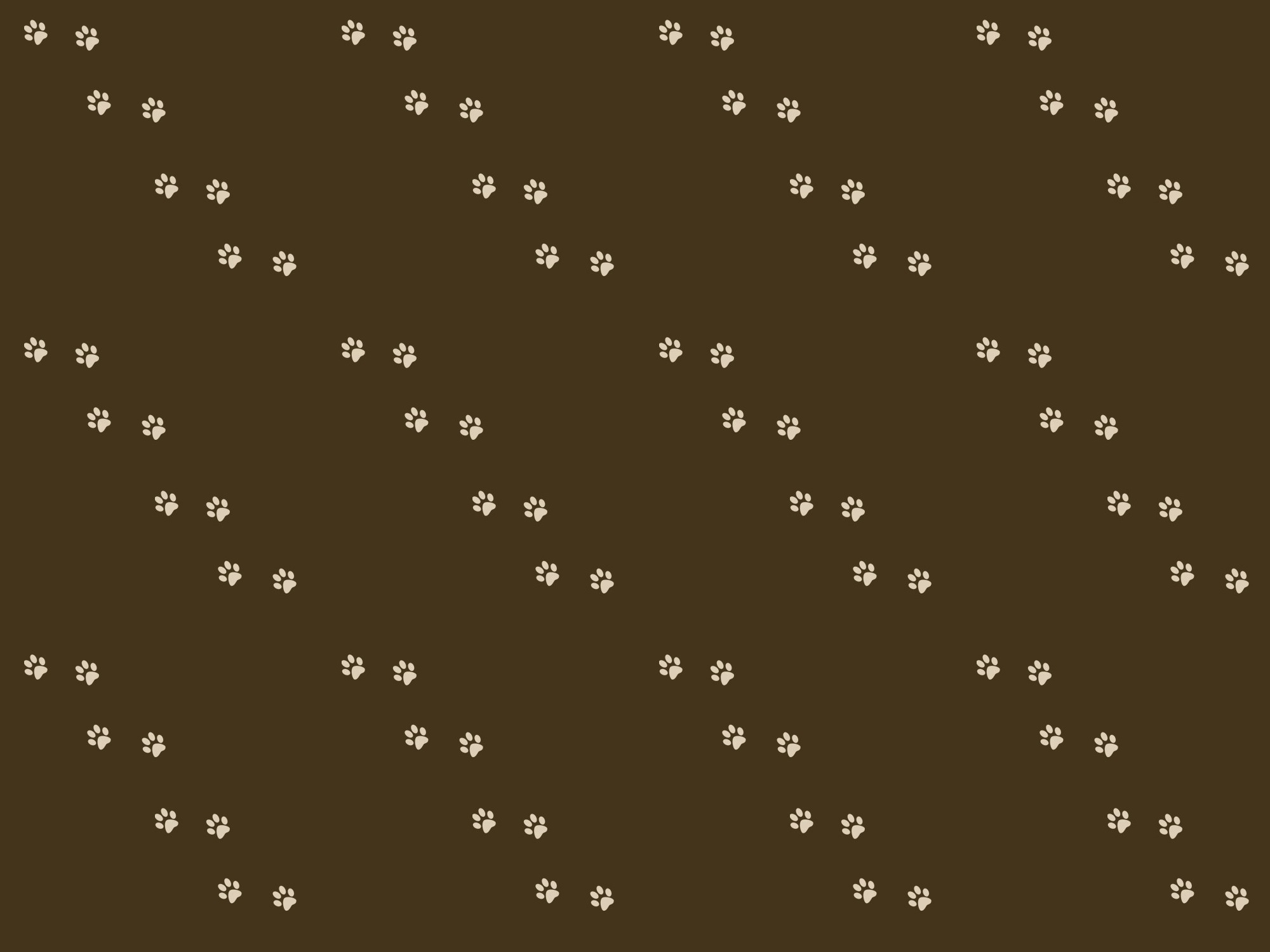 Bezirksgruppe Stuttgart - Deutscher Pudel-Klub, Bezirksgruppe Stuttgart