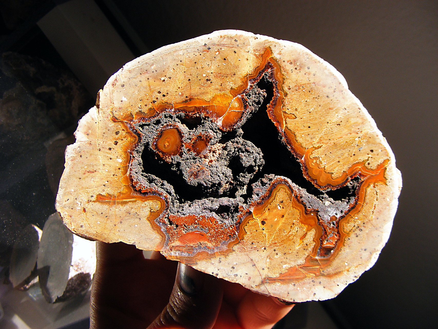 Australia - thundereggss Webseite!