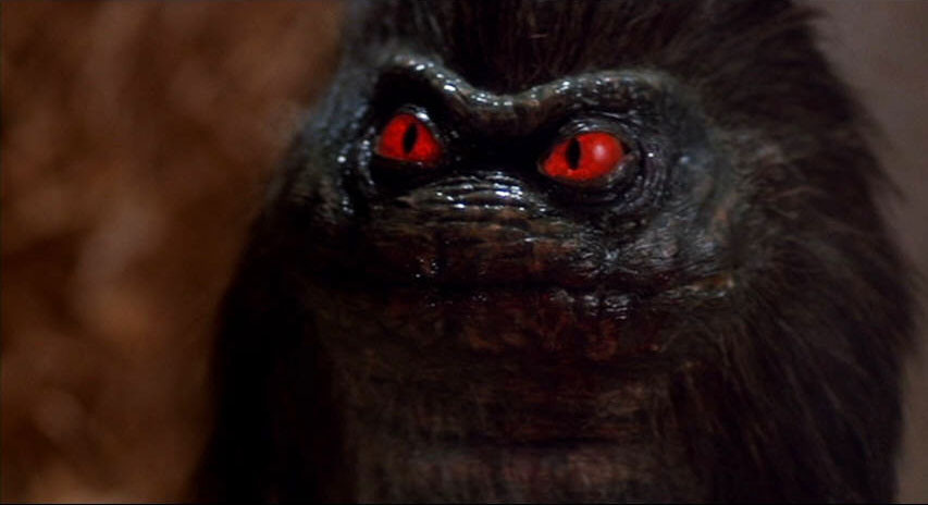 LES CRITTERS - Horror-ScaryWeb.com