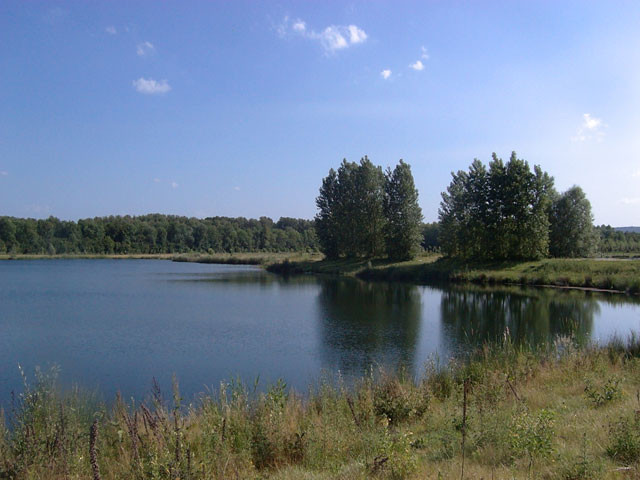 Photos de l'étang - carpiste03