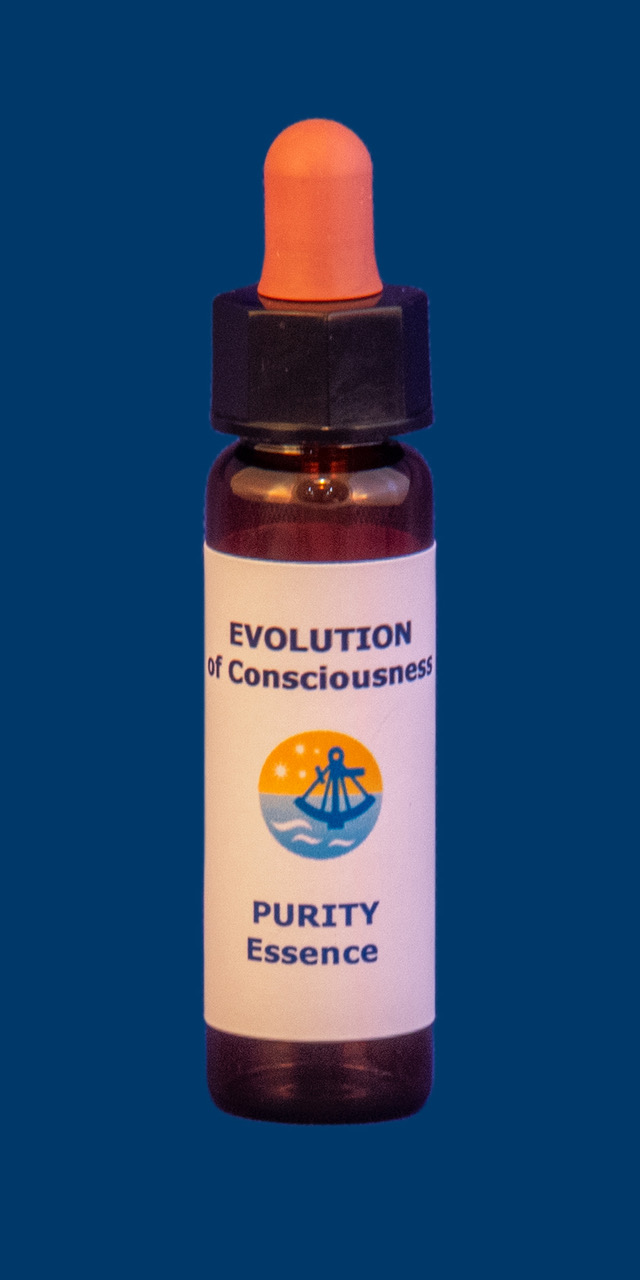 Essenz Reinheit / Purity - BRINGING YOUR HEART HOME