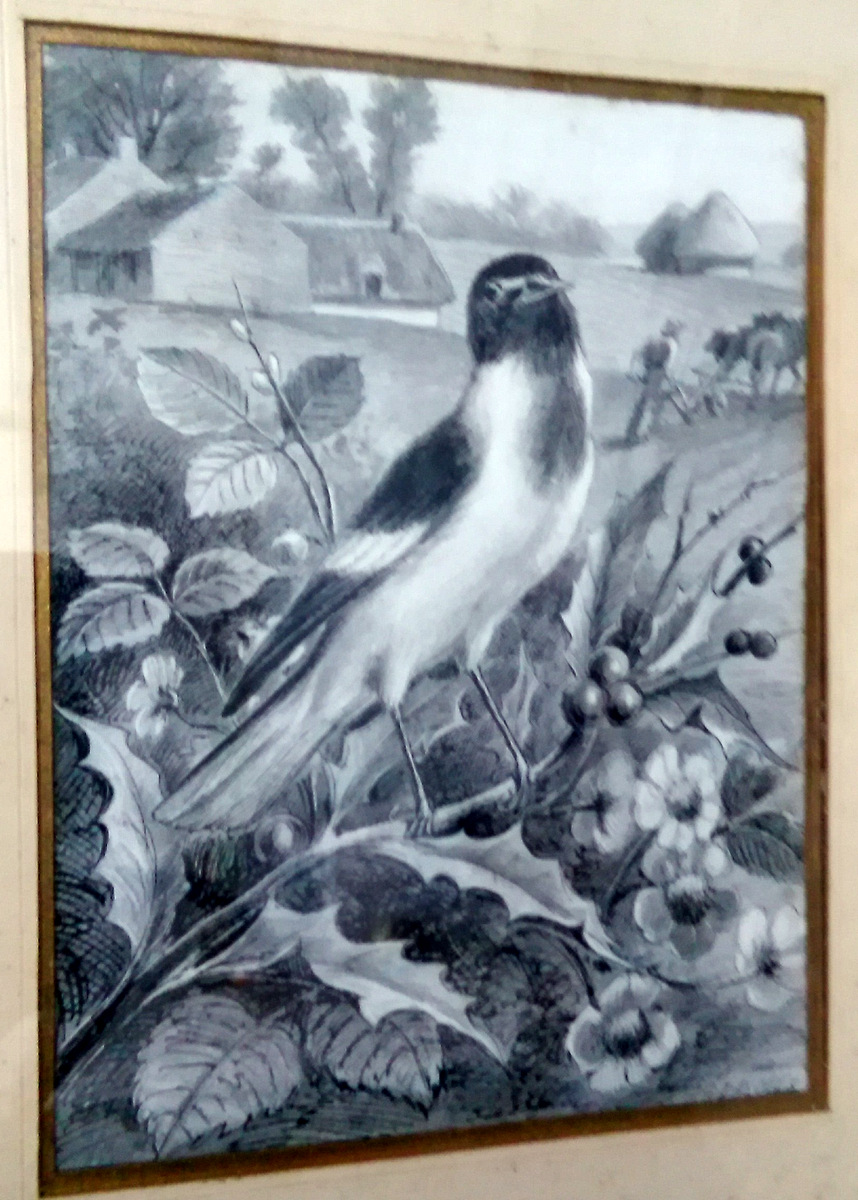 IMAGERIE SCOLAIRE - Site sur le peintre et illustrateur Georges Dascher