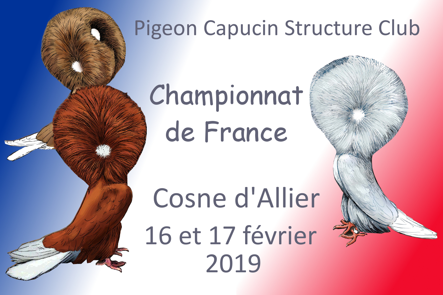 PCSC - Site du Pigeon Capucin Structure Club