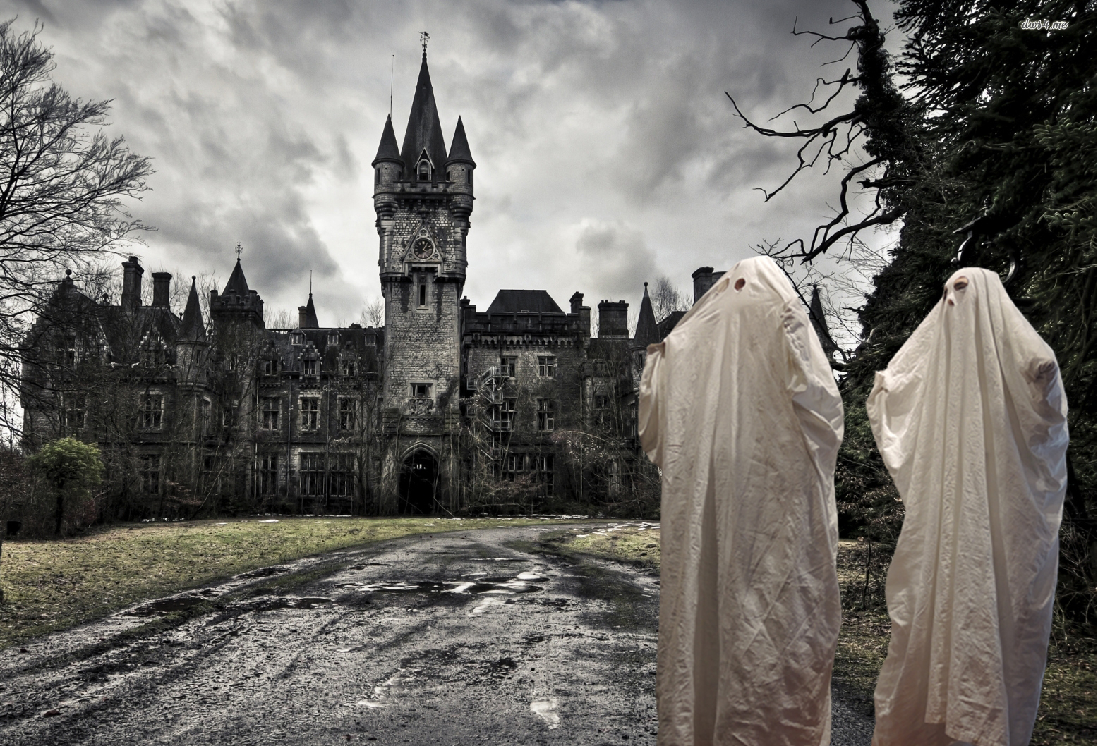 Pleitegeier über Melrose Castle - Pleitegeier über Melrose Castle