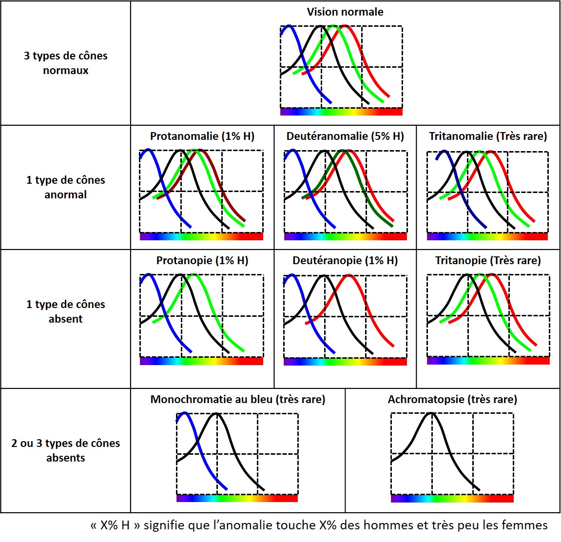Le daltonisme - 1,2,3 Couleurs ! Expériences scientifiques et boutique ...