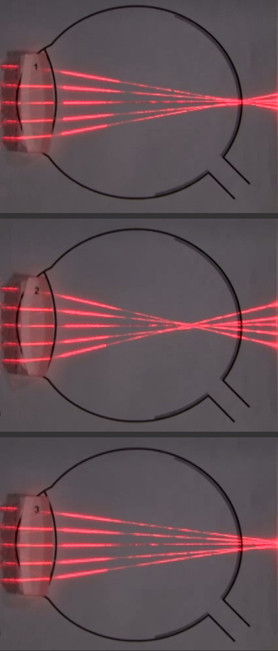 La formation des images dans l'oeil - 1,2,3 Couleurs ! Expériences ...