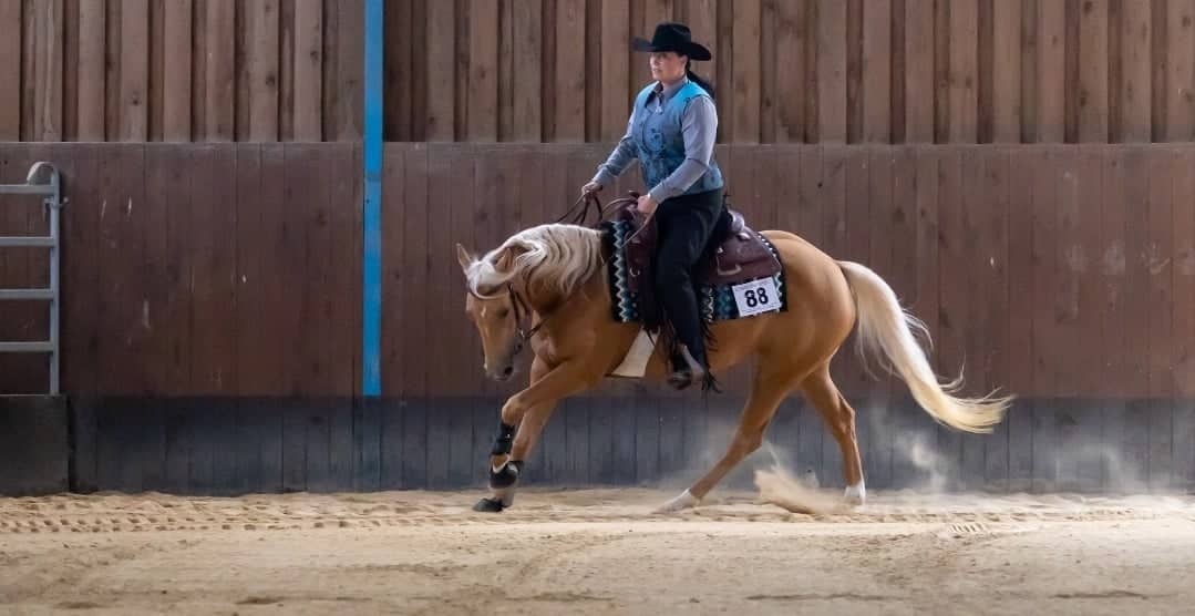 Paint Horse Leos Eternal Norfleet Andrea Kroppus RYL-Ranch - Leos ...