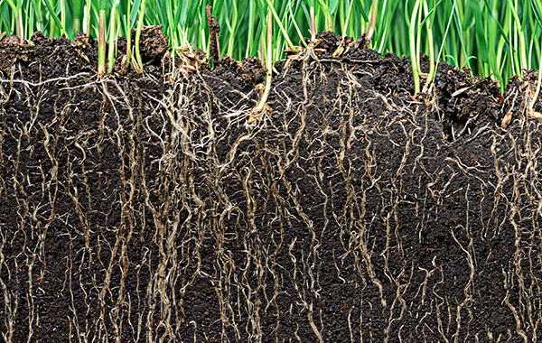 Permazyme is the world's premier enzyme soil stabilization product ...