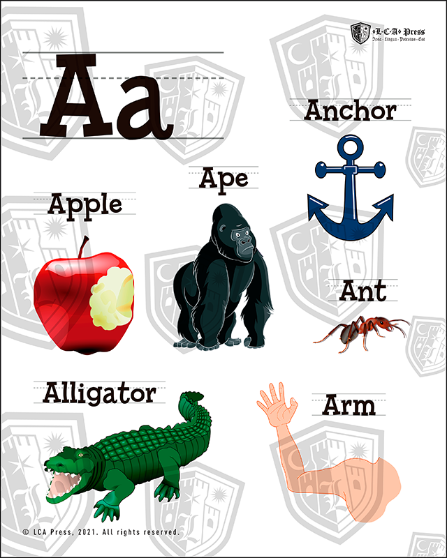 Alphabet Picture Dictionary Set [Wall Posters] - LCA Press, Inc.