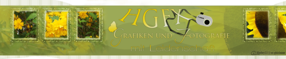 Aus alt mach neu - Hgfx (Harley graphics) - ☼ Deine Howrseseite ☼ (Archiv)