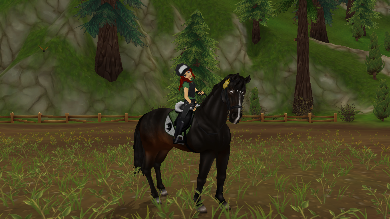 Rang-System - iron-alligatorss Webseite!