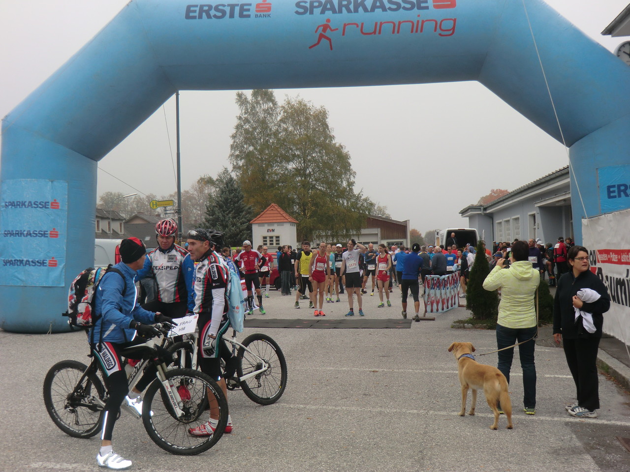 Aktuelles -Harald Penthor - Eisenstadt - Burgenland - Harald Penthor ...