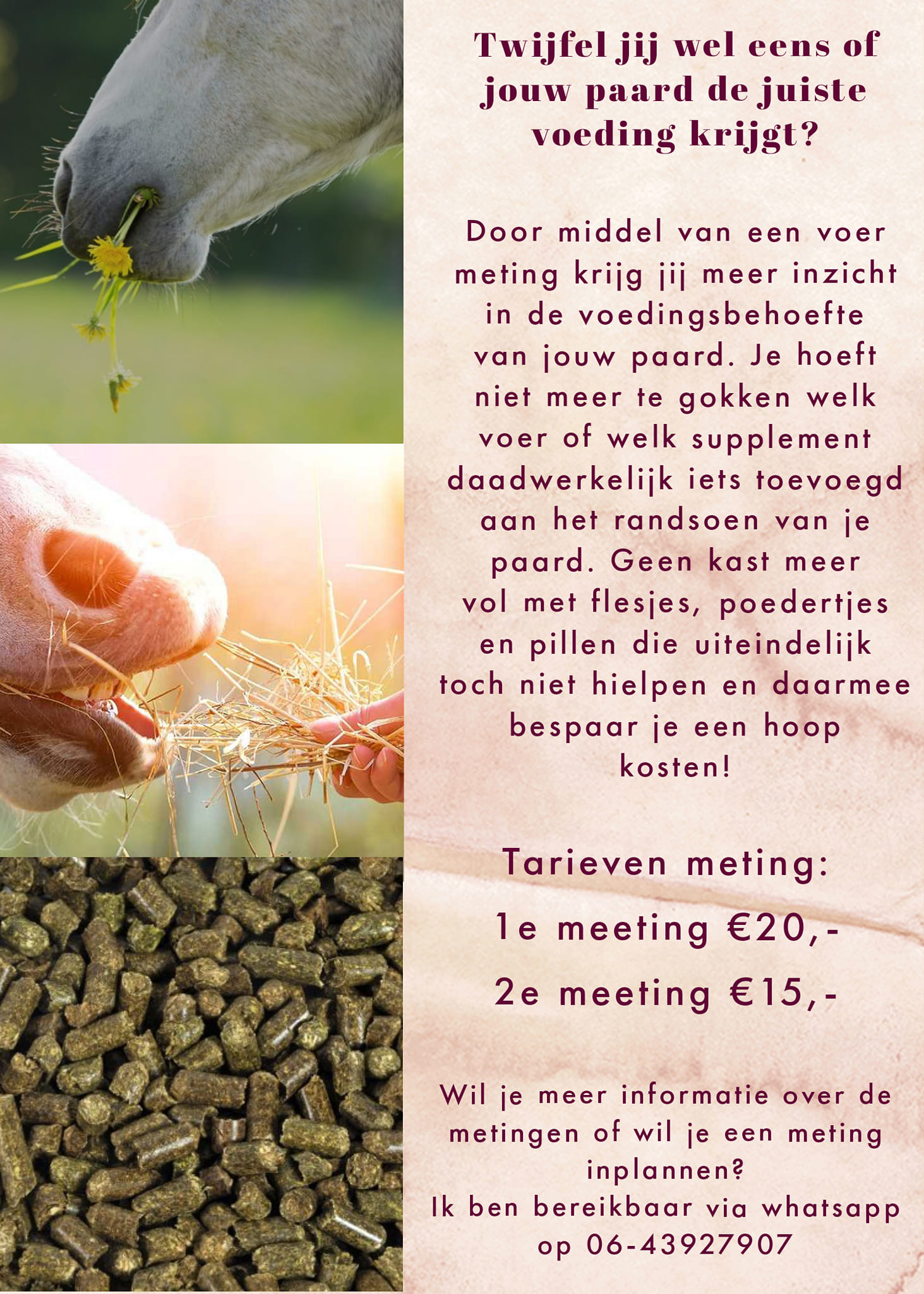 biotensor - Cranio-sacraal therapie & Instructie