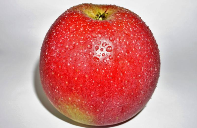 Neue Apfelsorte: Wurtwinning - Vitaminkiste