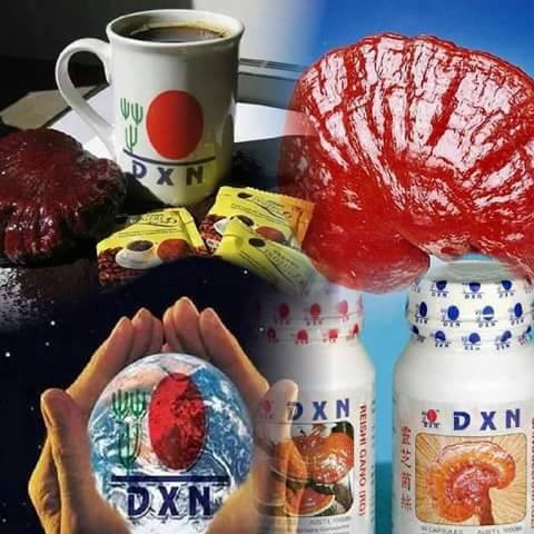 GANODERMA LUCIDUM DXN - Página web de negociomillonariodxn