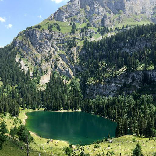 Willkommen auf der Axalp - Axalp ob Brienz