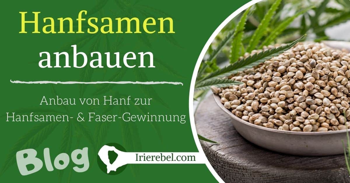 Hanfsamen anbauen und ernten - Anbau von Hanf zur Hanfsamen- & Faser ...