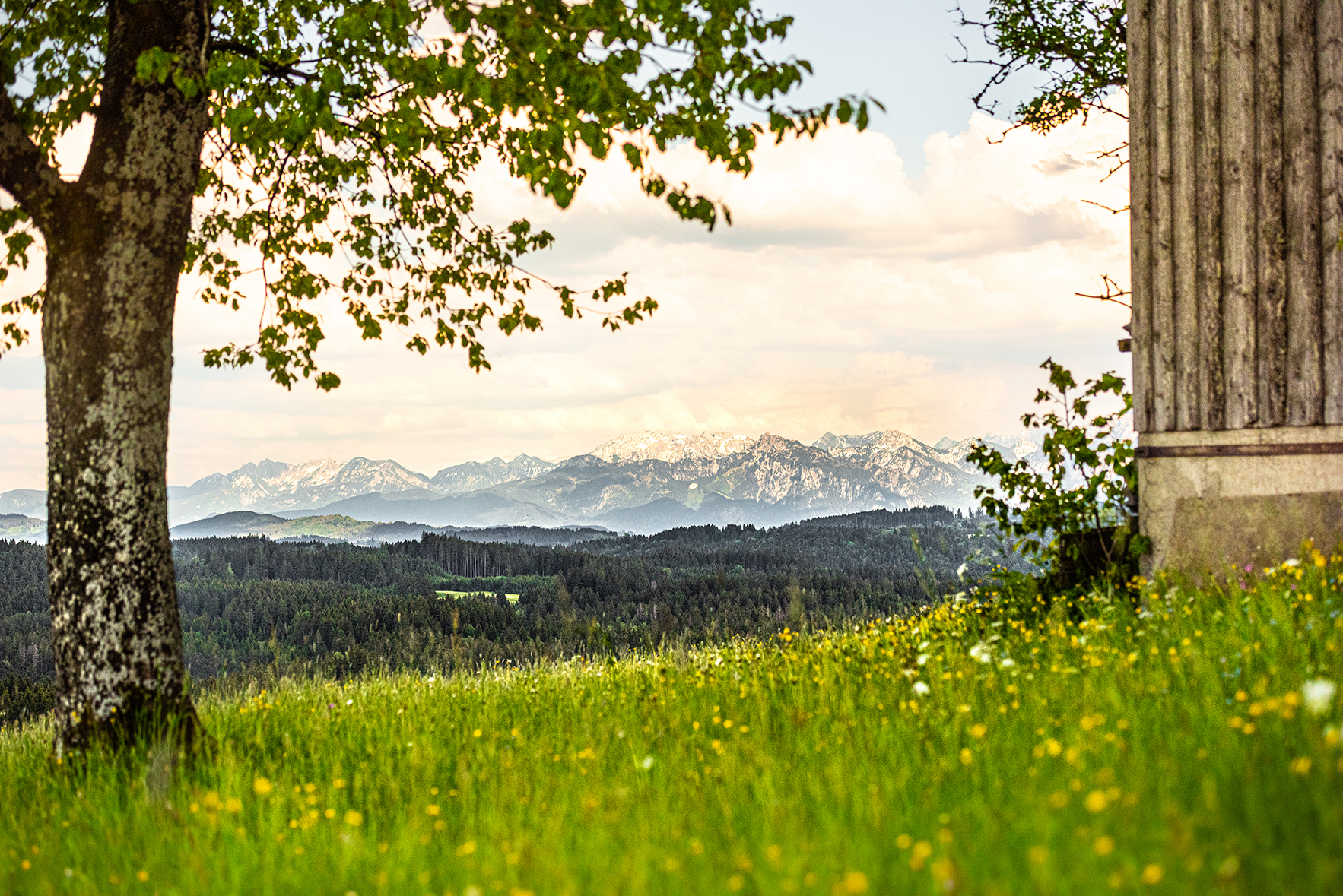 Unsere Preise - Ferienhof Tronsberg - Urlaub im Allgäu