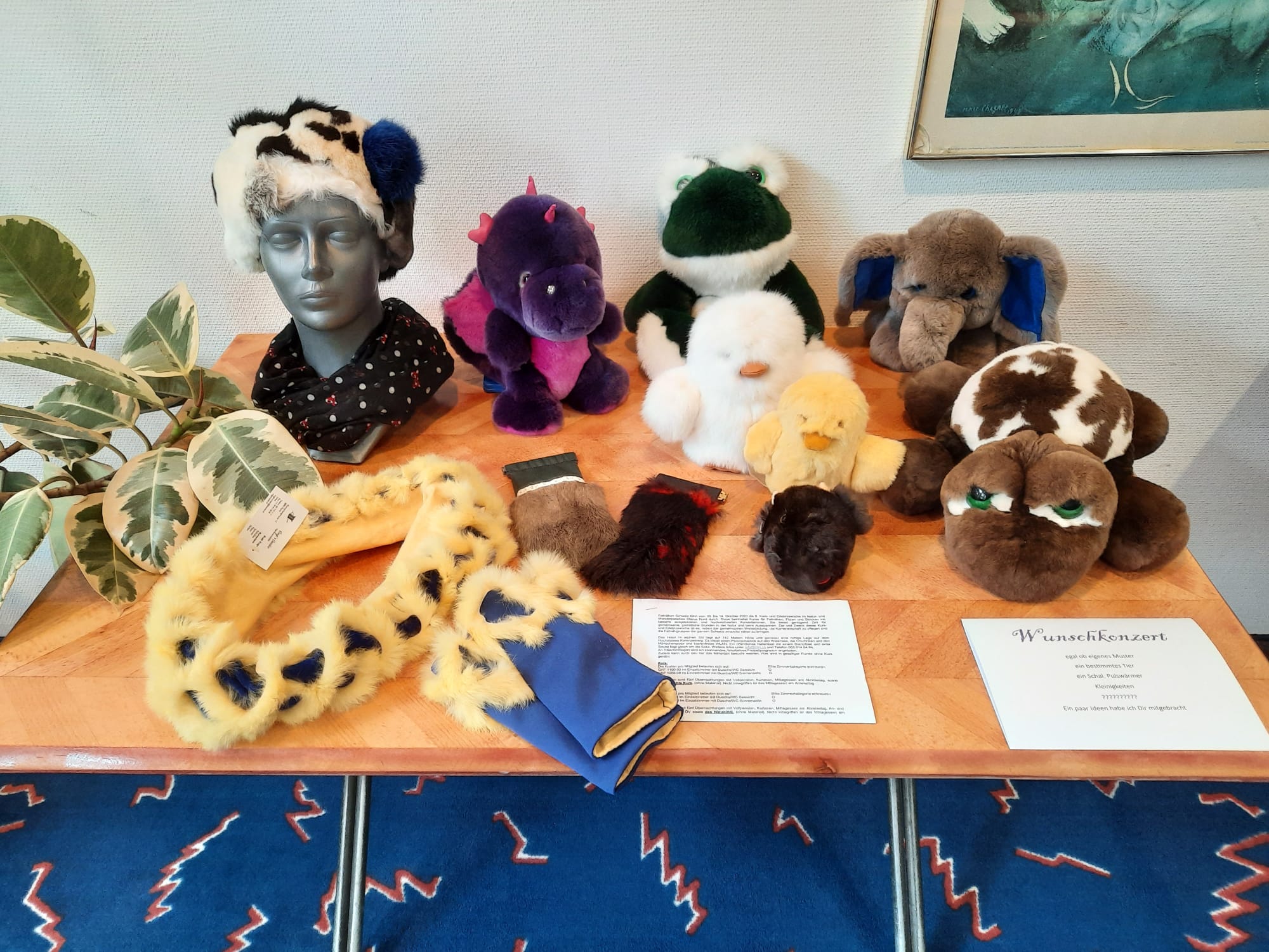 DV 2023 in Romanshorn - Fellnähen Schweiz