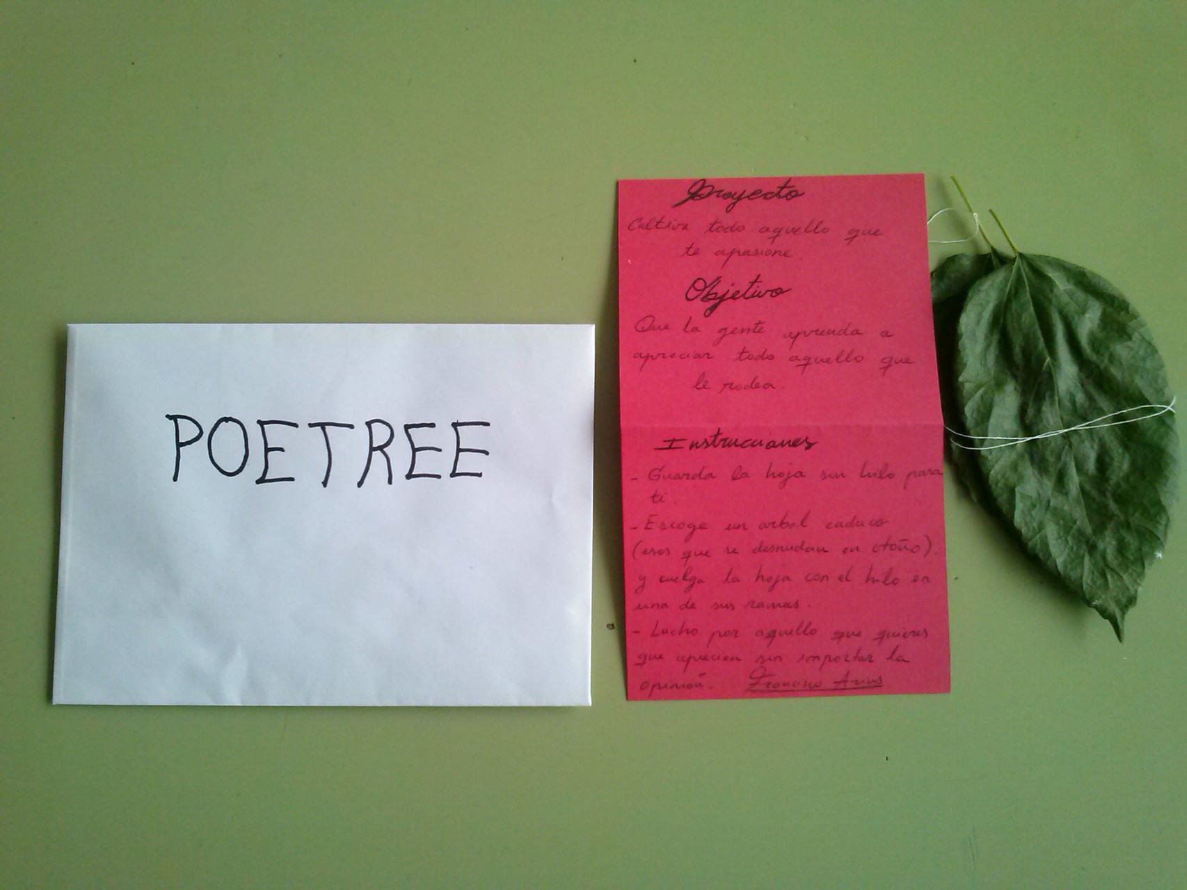 POETREE - Página web de lecturacreativaenmiaula