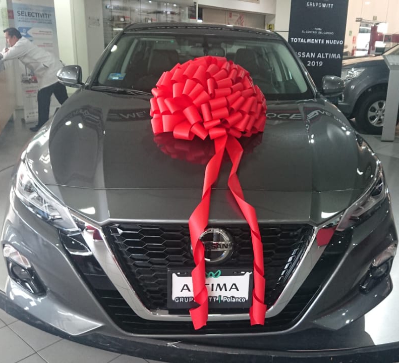 Moños Decorativos Para Autos y Grandes Regalos - Decorsan México ...