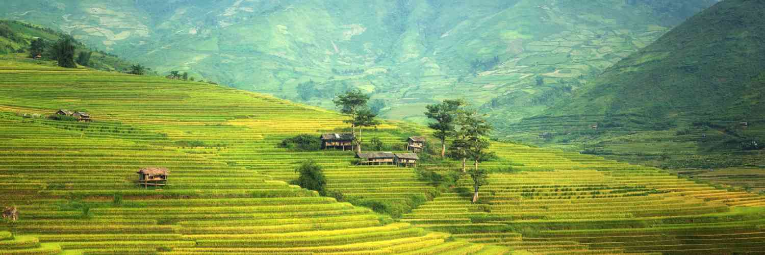 Insider's Guide To Local Experiences In Vietnam - Colours of Vietnam