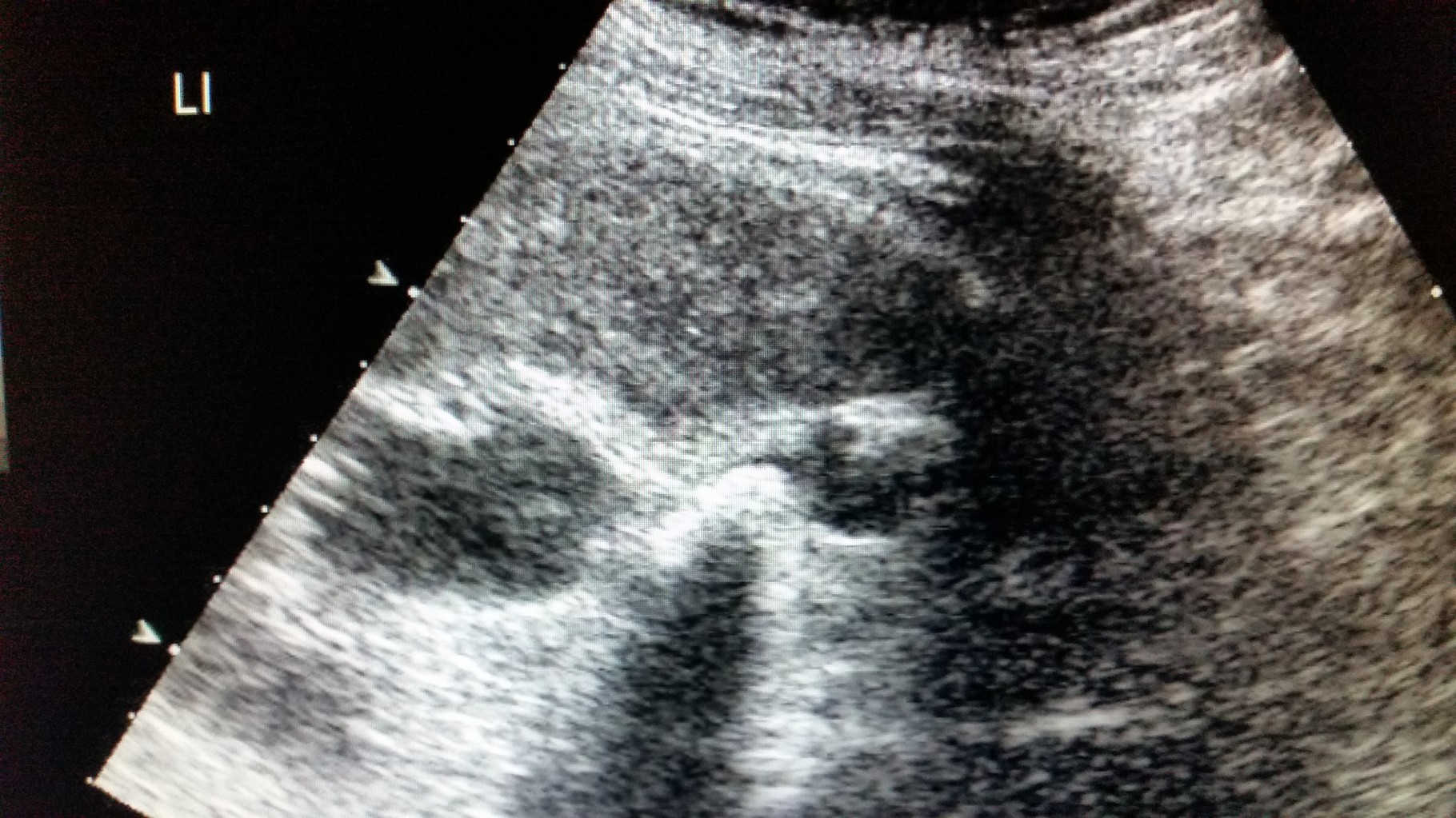 Sono-Story 54 - sono4students-stuttgarts Webseite!