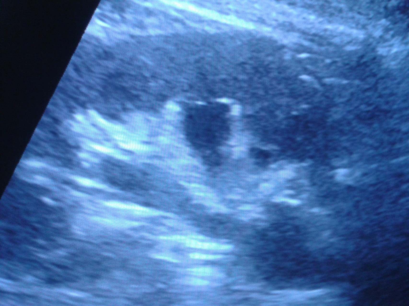 Sono-Story 5 - sono4students-stuttgarts Webseite!