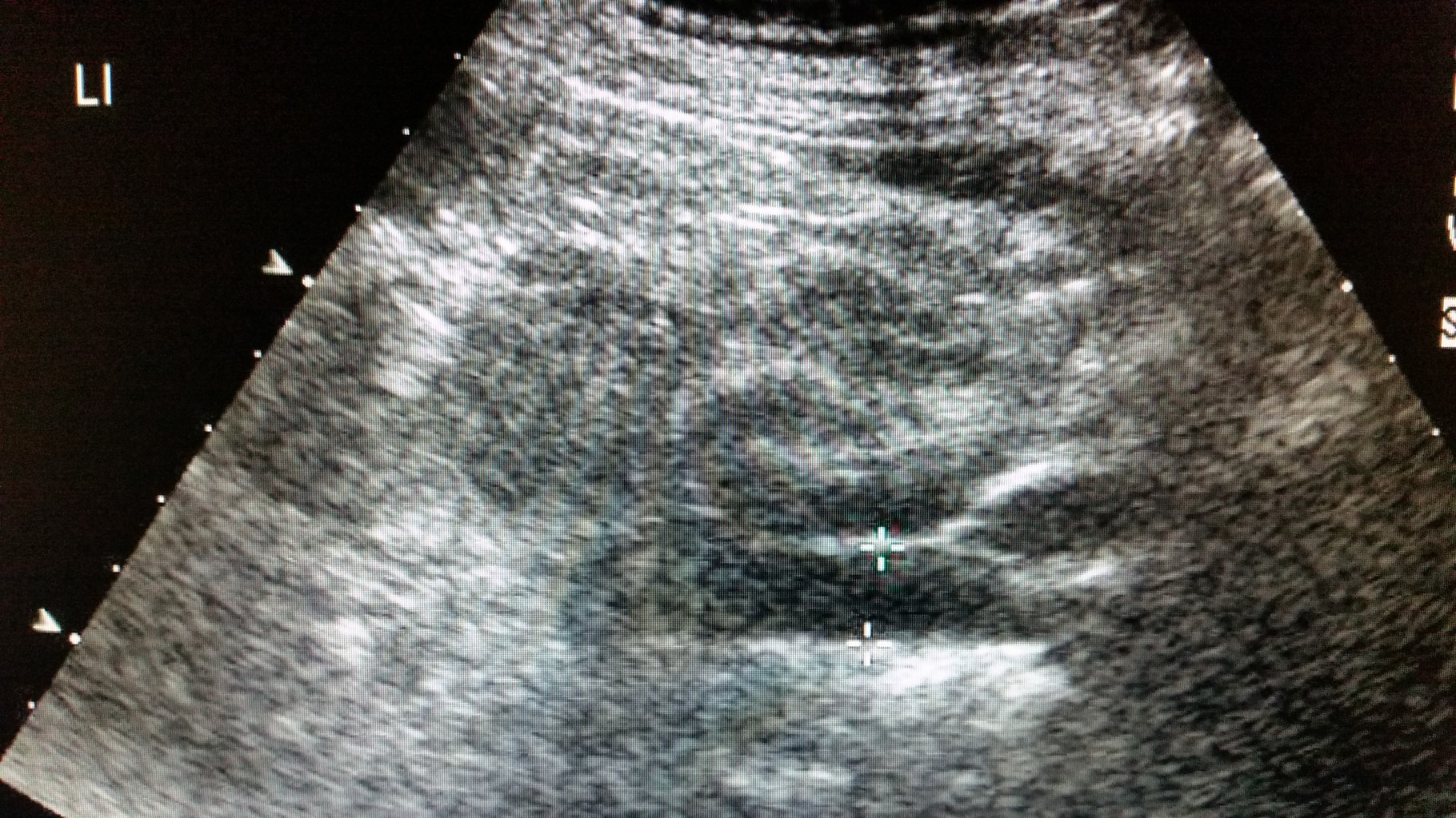 Sono-Story 54 - sono4students-stuttgarts Webseite!