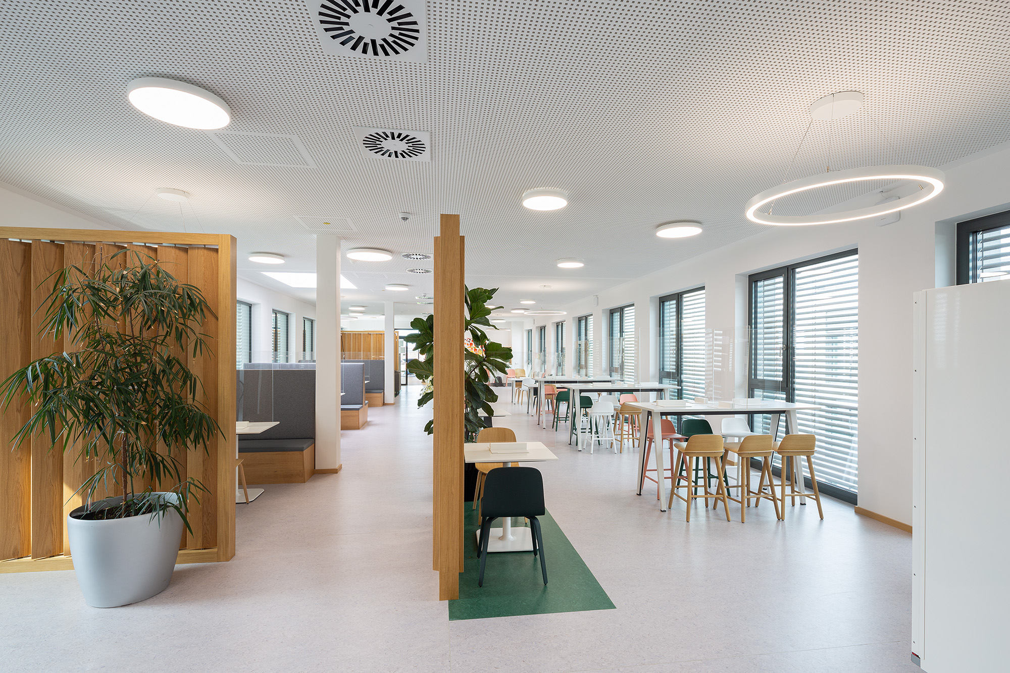 Alfons Schmidt GmbH - schmidt-lebachs Webseite!