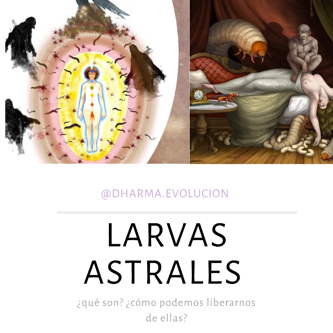 Larvas astrales - Página web de dharmaevolucion