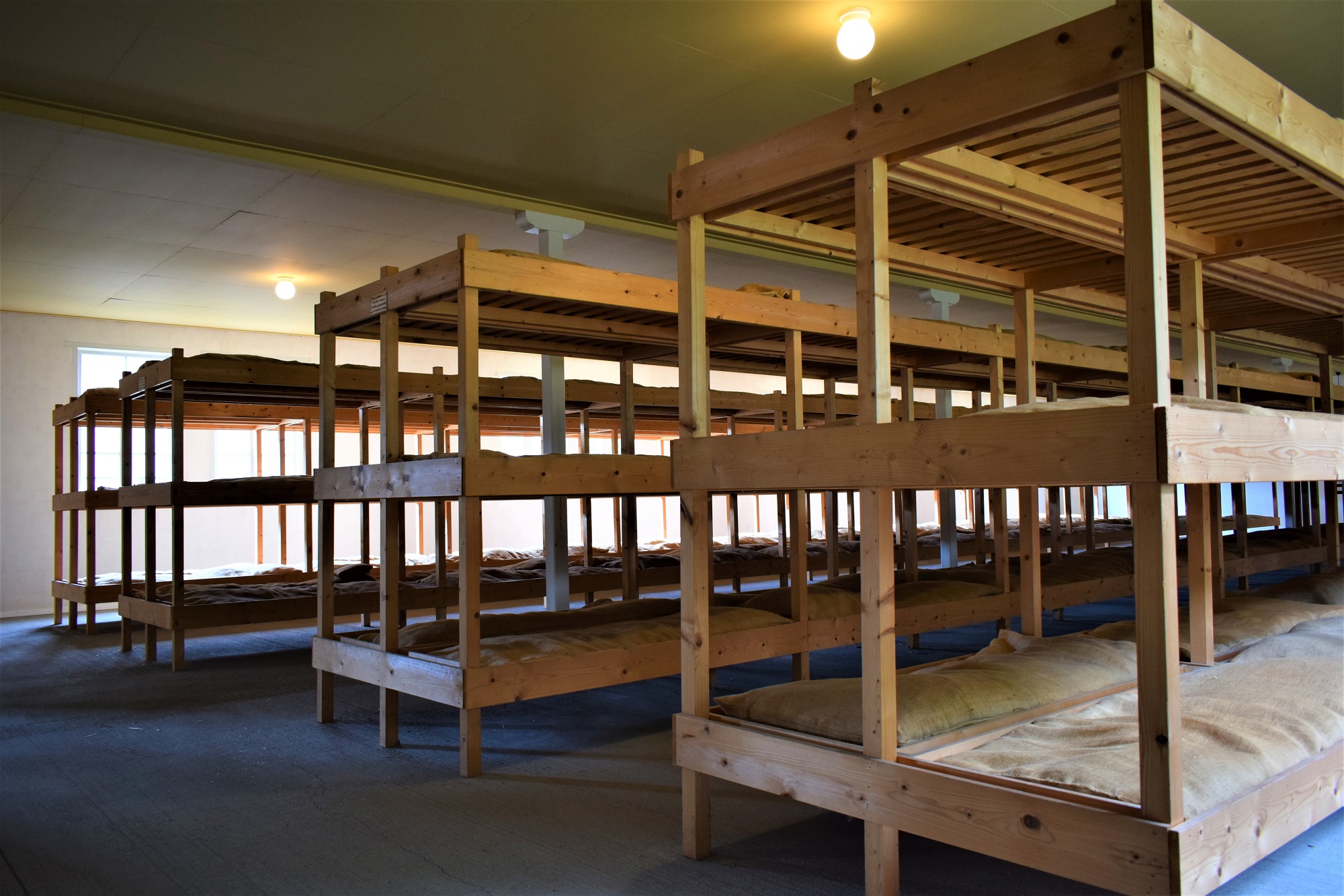 Kamp Vught - Nederlandse boeken en documentatie over concentratiekampen ...