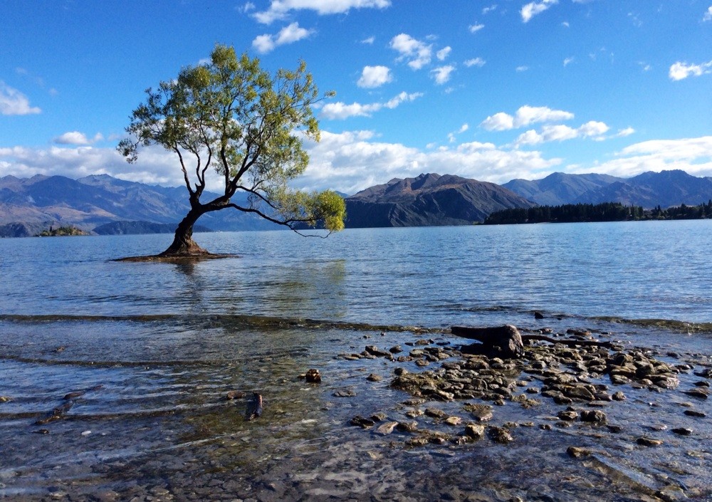 Le lac de Wanaka. - Site de nz-roger