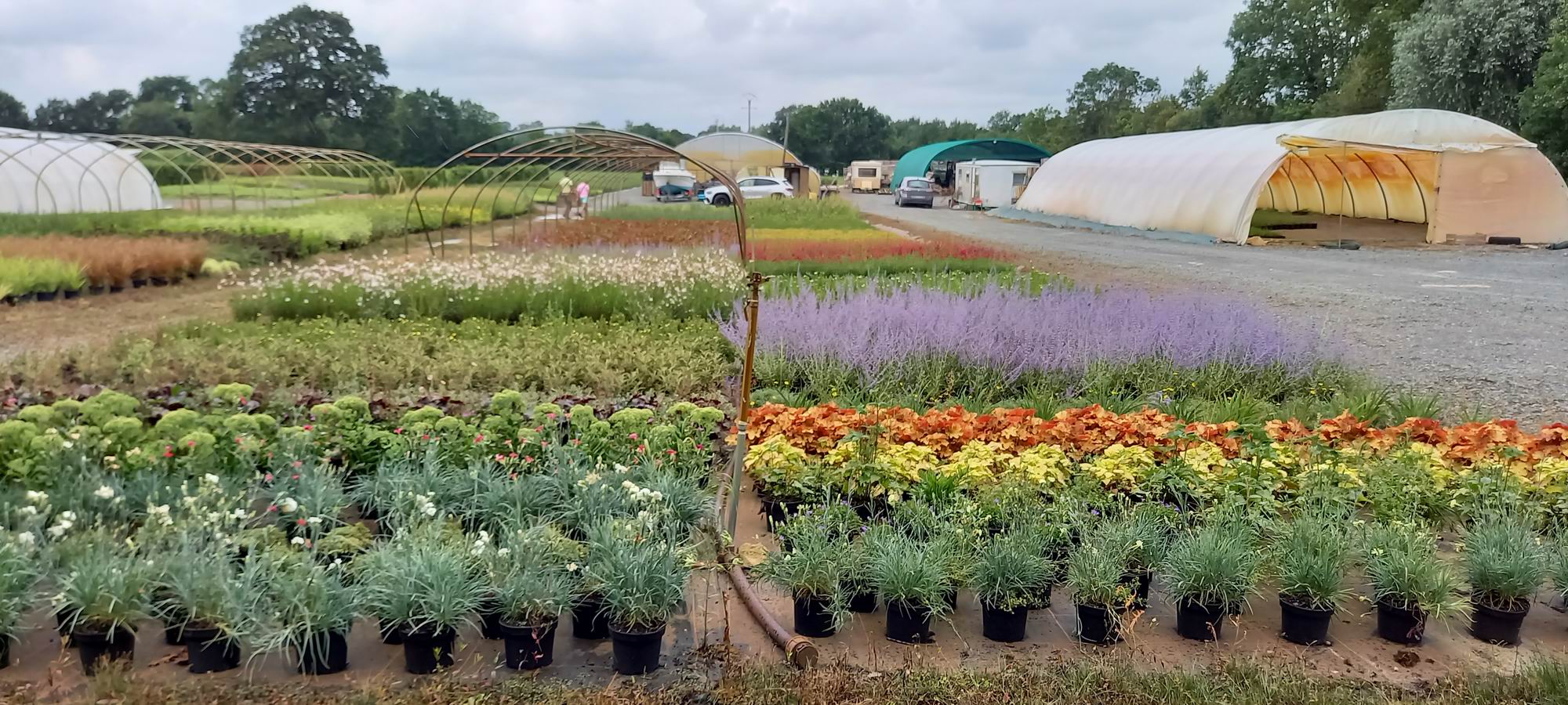 Catalogue Particulier - Pépinières LEBOUCHER