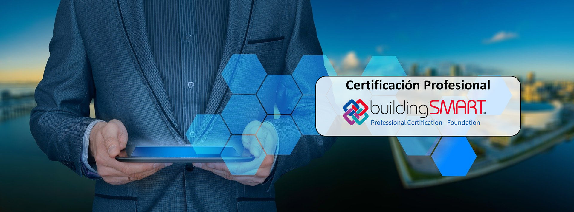 Nivel Inicial (Entry) - buildingSMART Spain