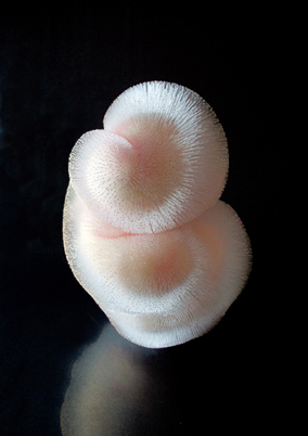 広垣 彩子 - Ayako Hirogaki - - GALLERY KUGO