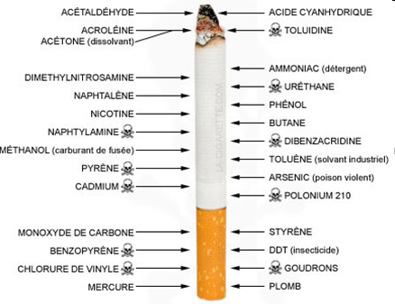 La composition de la cigarette - La cigarette