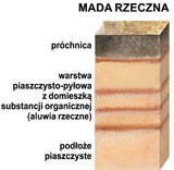 Rodzaje gleb w Polsce - przyrodalekcje