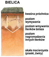 Rodzaje gleb w Polsce - przyrodalekcje