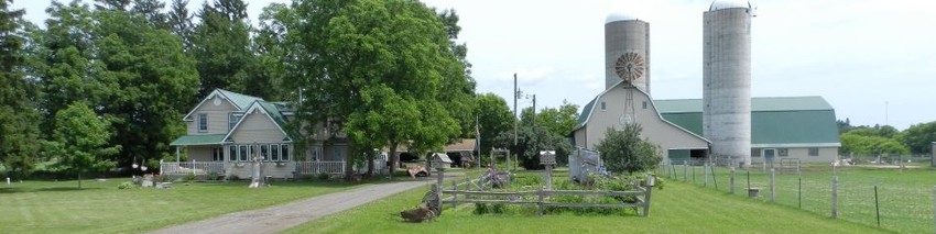 Barnyard Blessing Online Store - Barnyard Blessing Goat Milk Soap