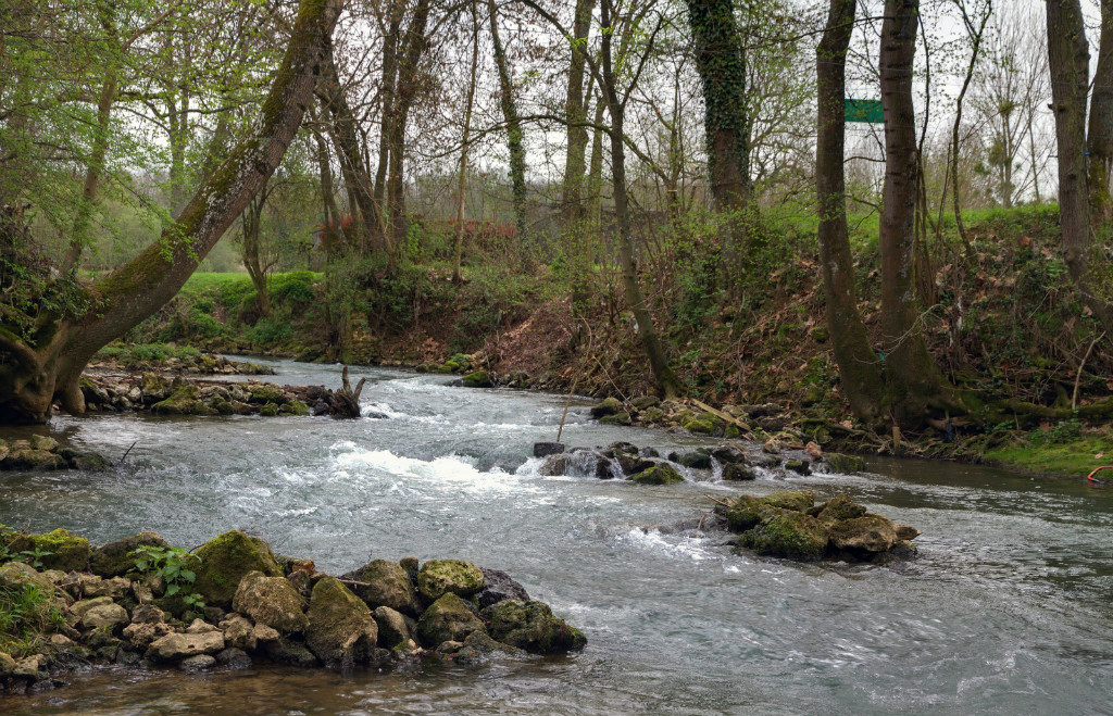 Barbeau - Site de aappma-valleedupetitmorin