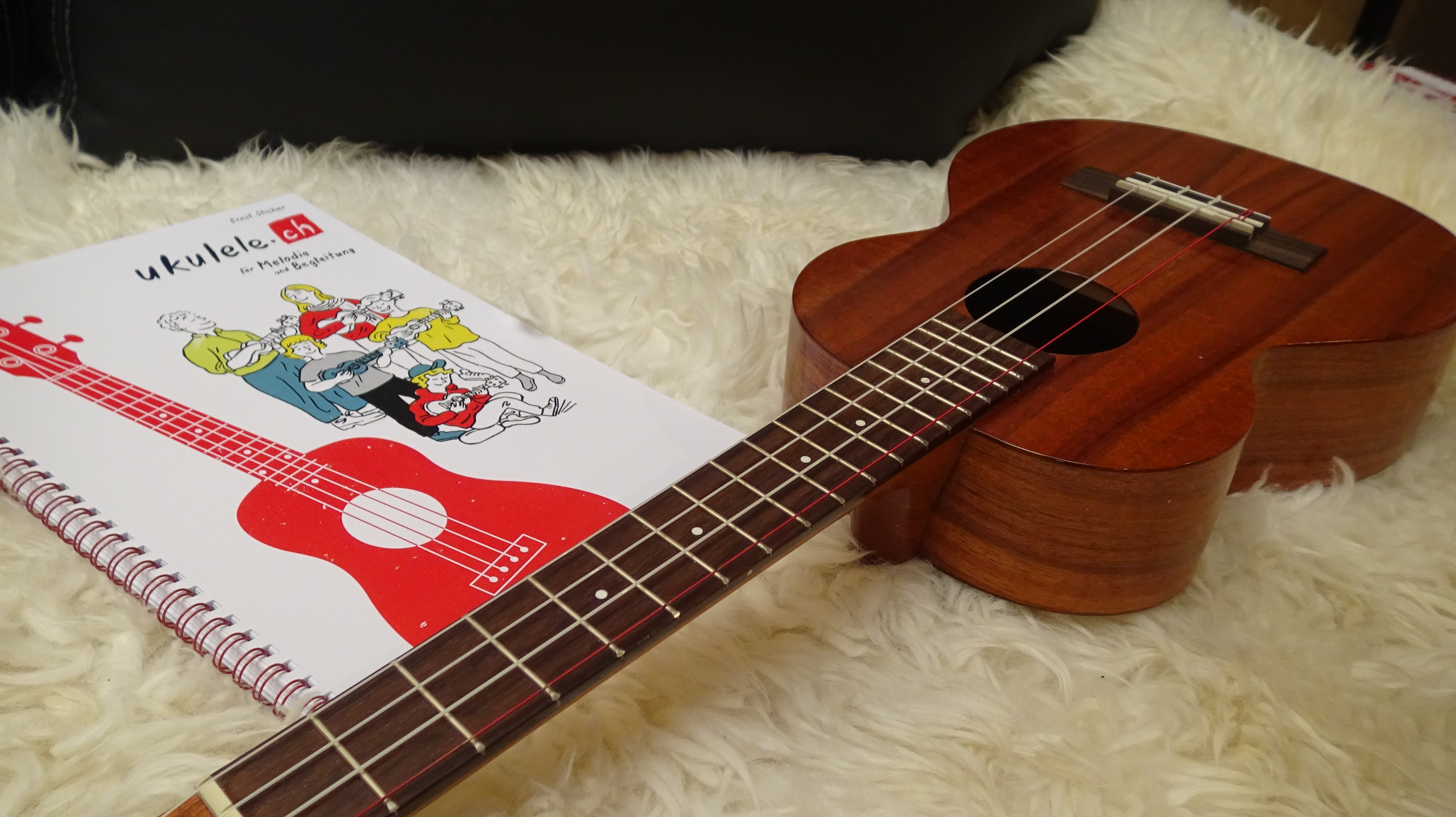 Ukulele Video-Kurs - ukulele-chs Webseite!
