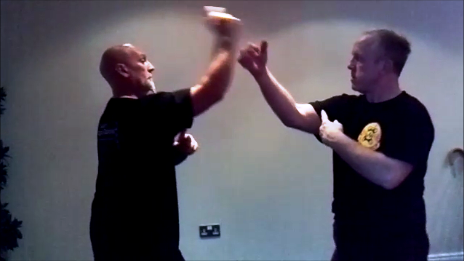 Chow Gar Mantis - chowgargalway