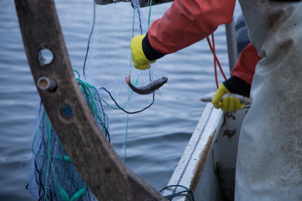 Über uns - Fischerei und Forellenzucht Meggen - Fisch von Hofer Nils