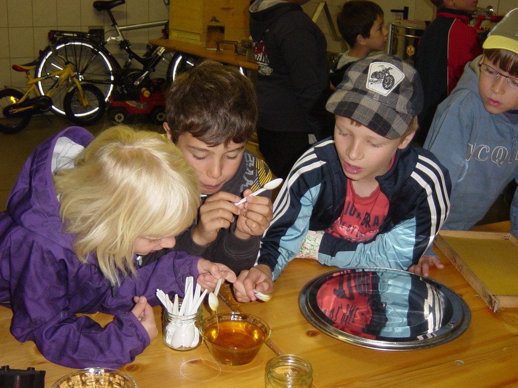 Workshop Volksschule 2012 - Honig und Imkereiprodukte Fam. Lumetsberger ...