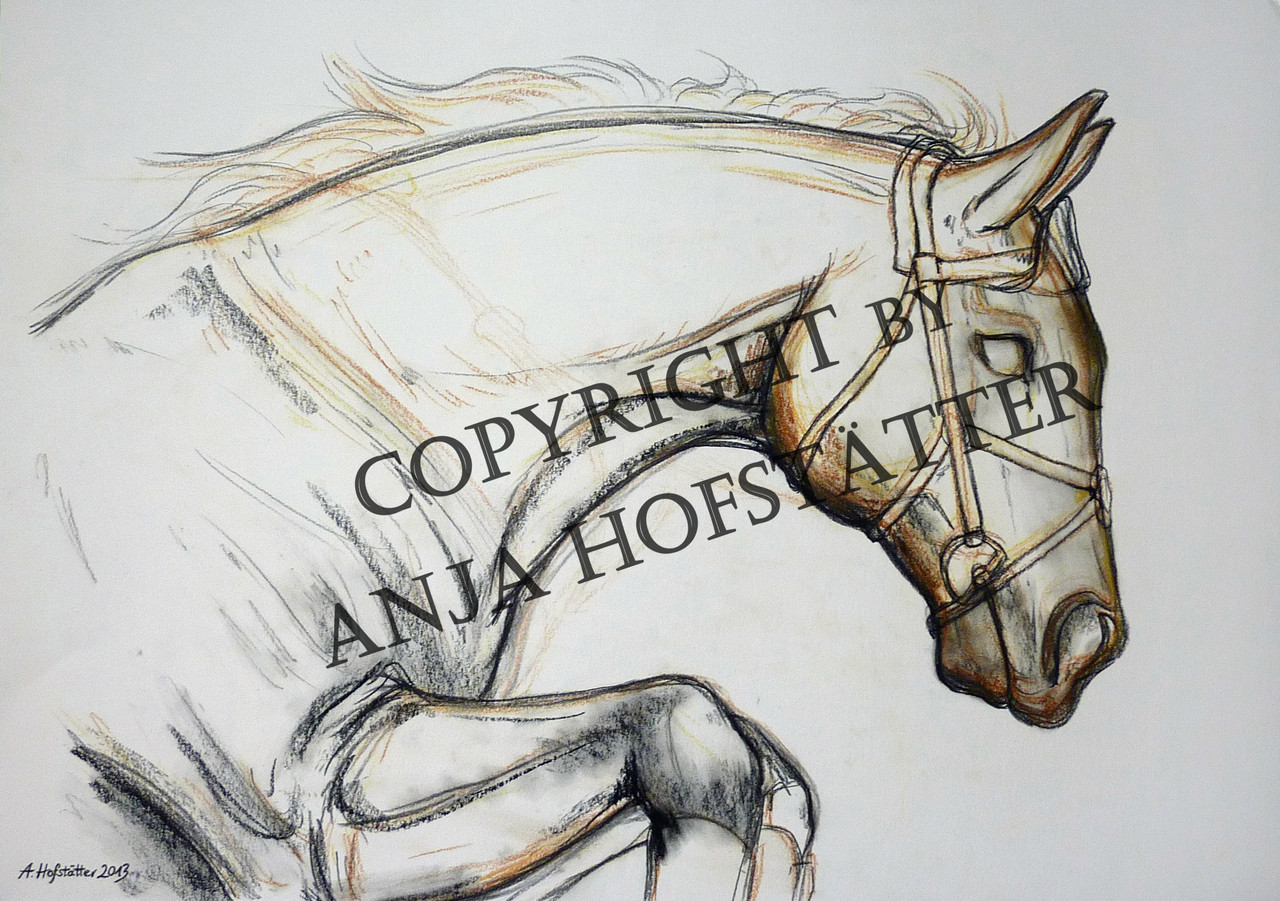 Tierzeichnungen - anjahofstaetter-kreativwerkstatt