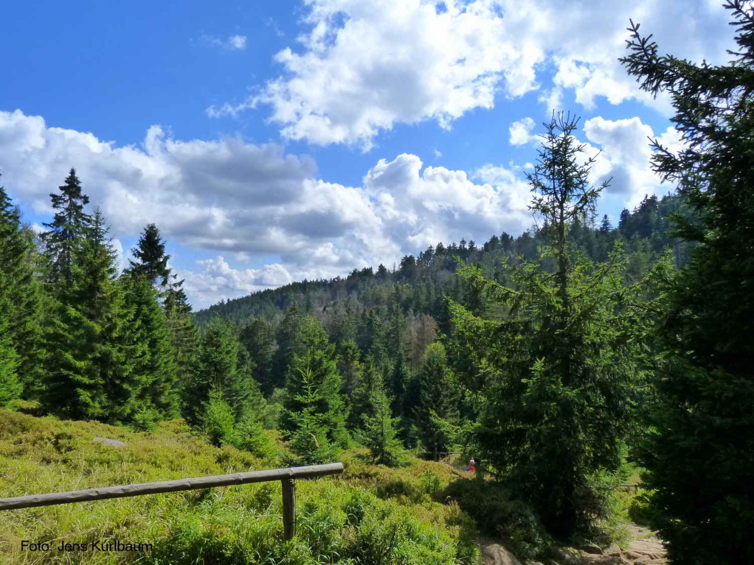 Urlaub-Harz-Ferien - Schöne-Ferien-im-Harz - Ferienwohnung Kurlbaum