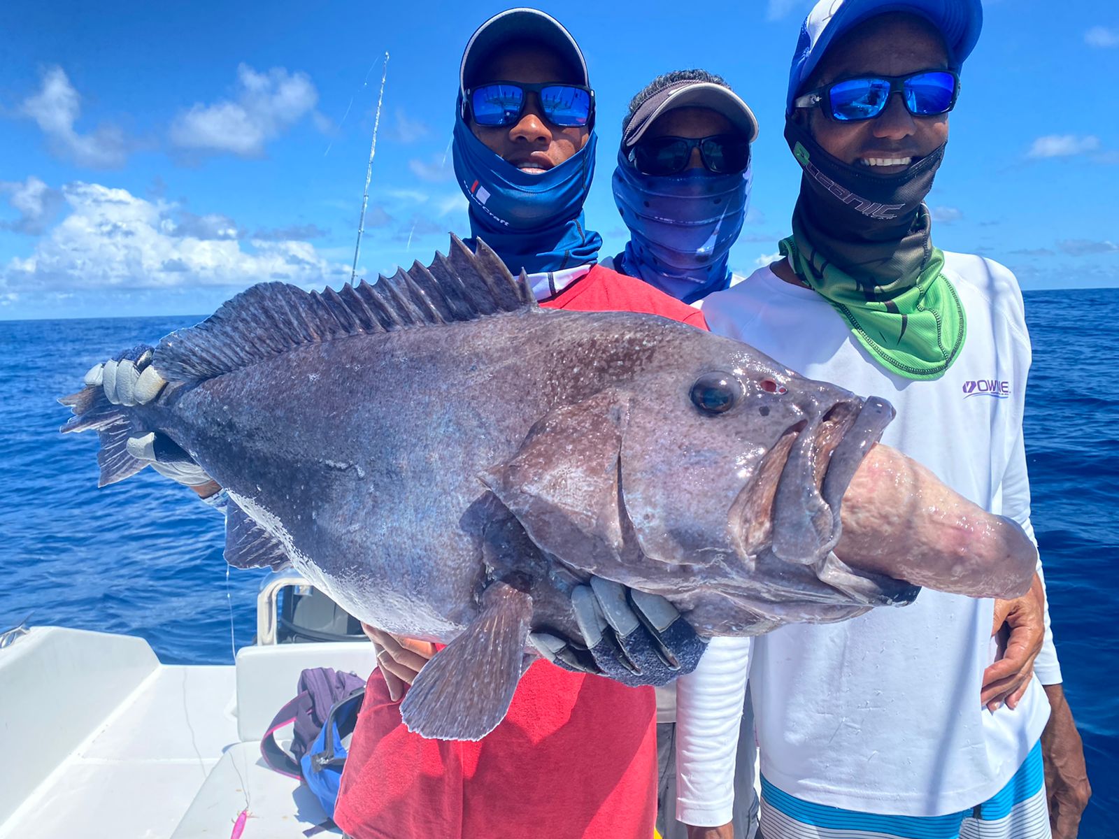 seychelles-fishing reports & information - Seychelles fishing - reports ...