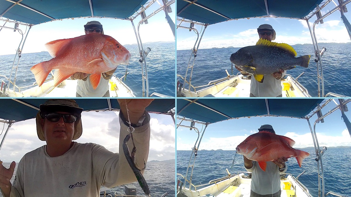 seychelles-fishing reports & information - Seychelles fishing - reports ...