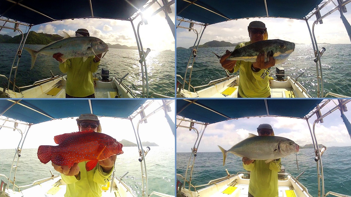 seychelles-fishing reports & information - Seychelles fishing - reports ...